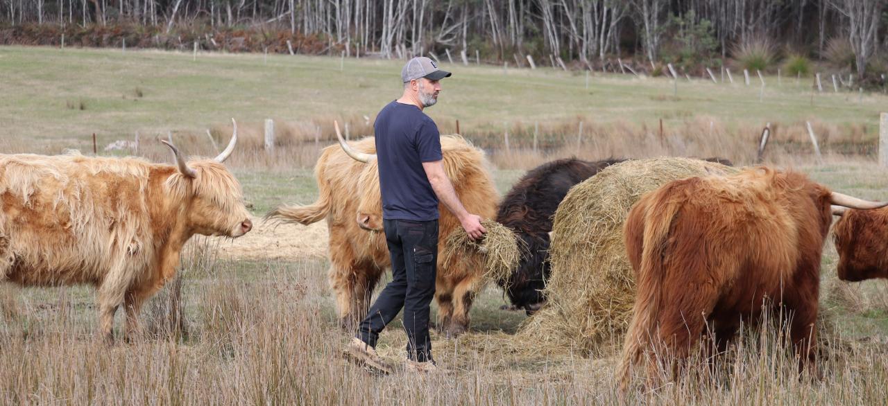 Living the farm stay dream | Tasmanian Country Newspaper